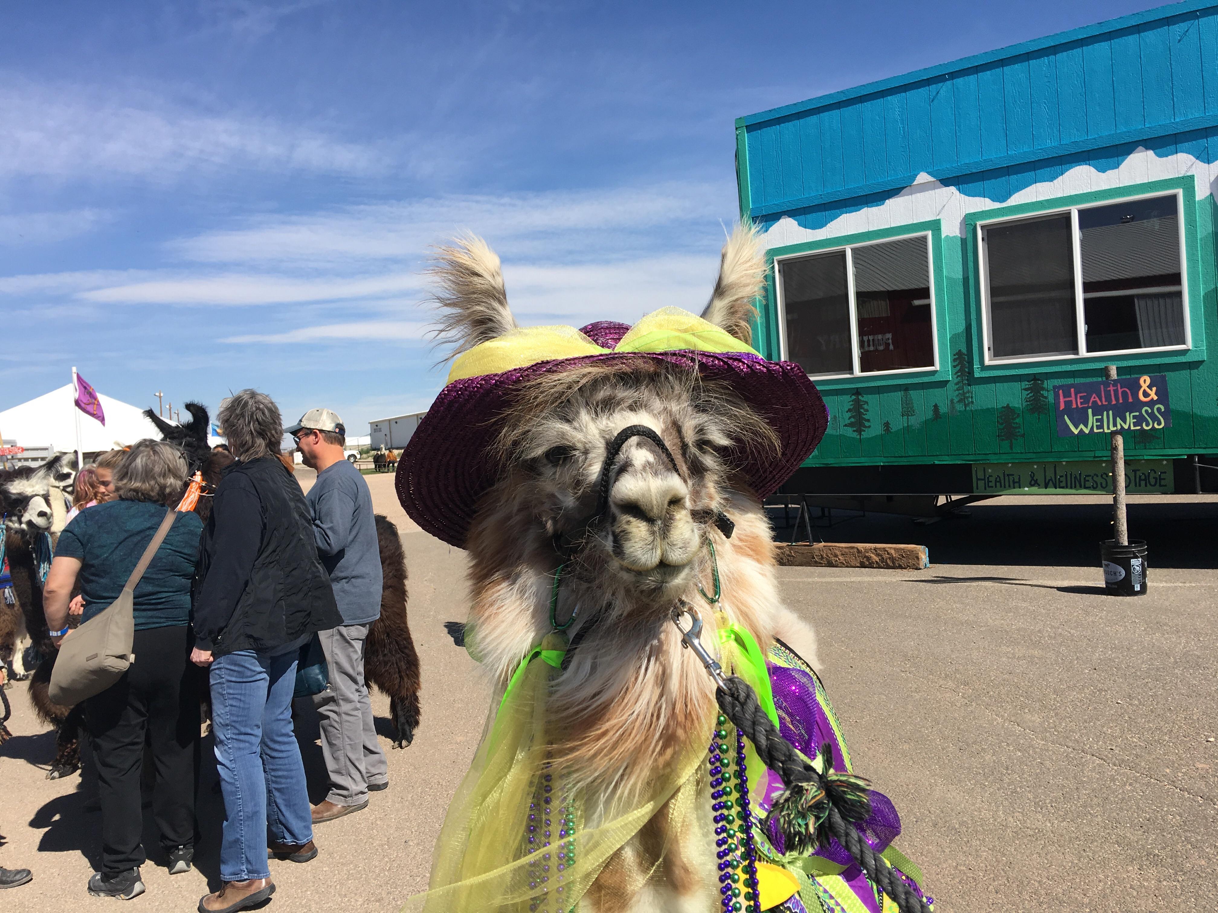 Leandra enjoying the Higherground Fair. | Scrolller