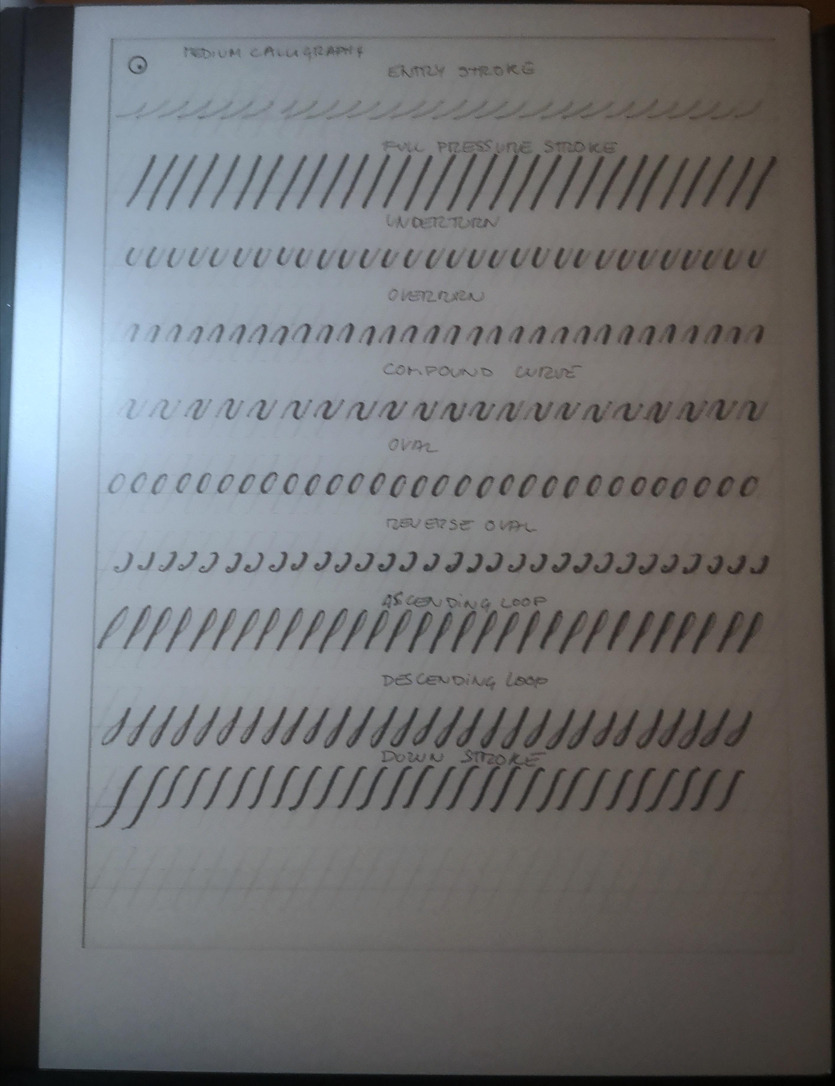 Learning calligraphy 😜 | Scrolller