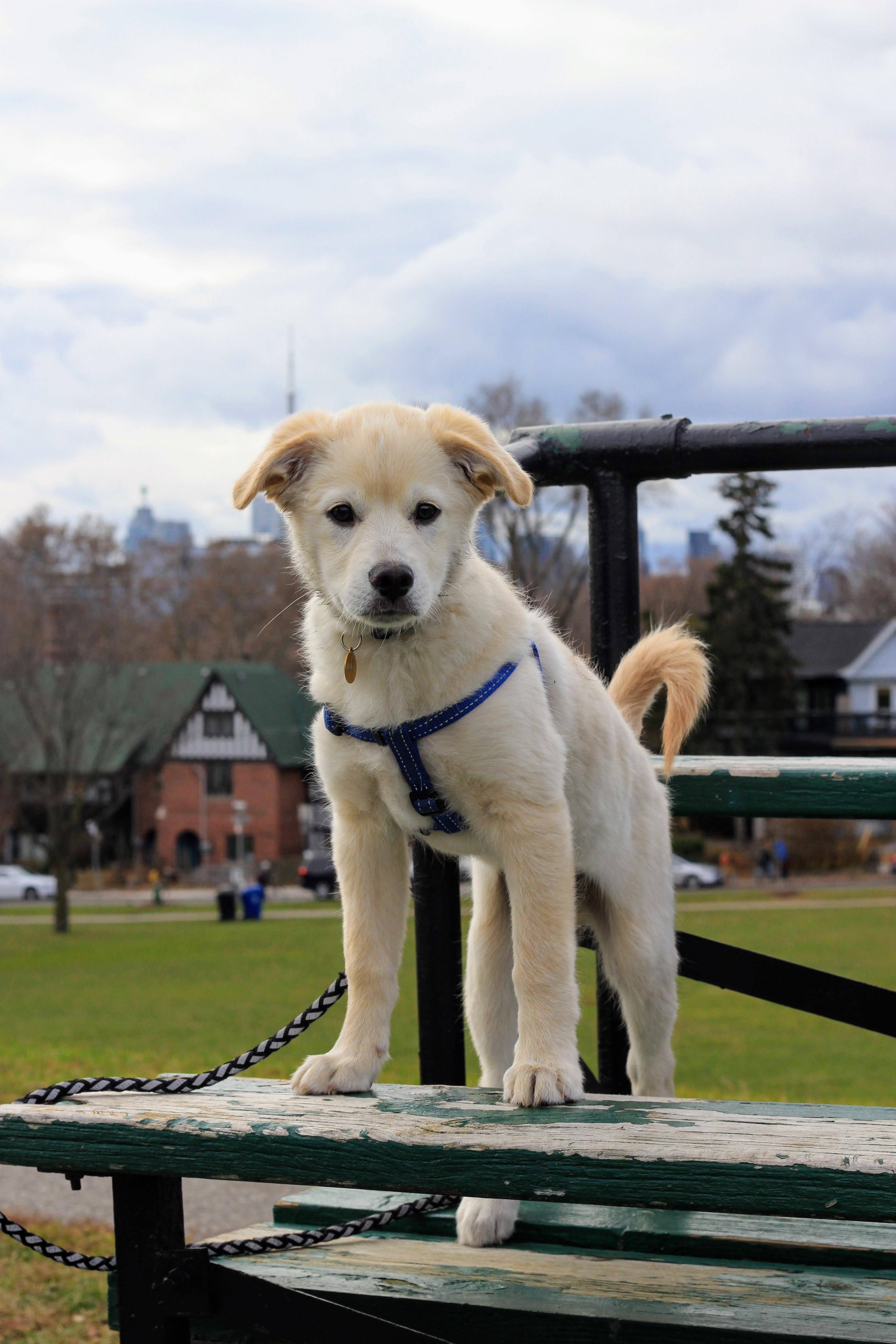 Learning the ways of his majestic forefathers | Scrolller