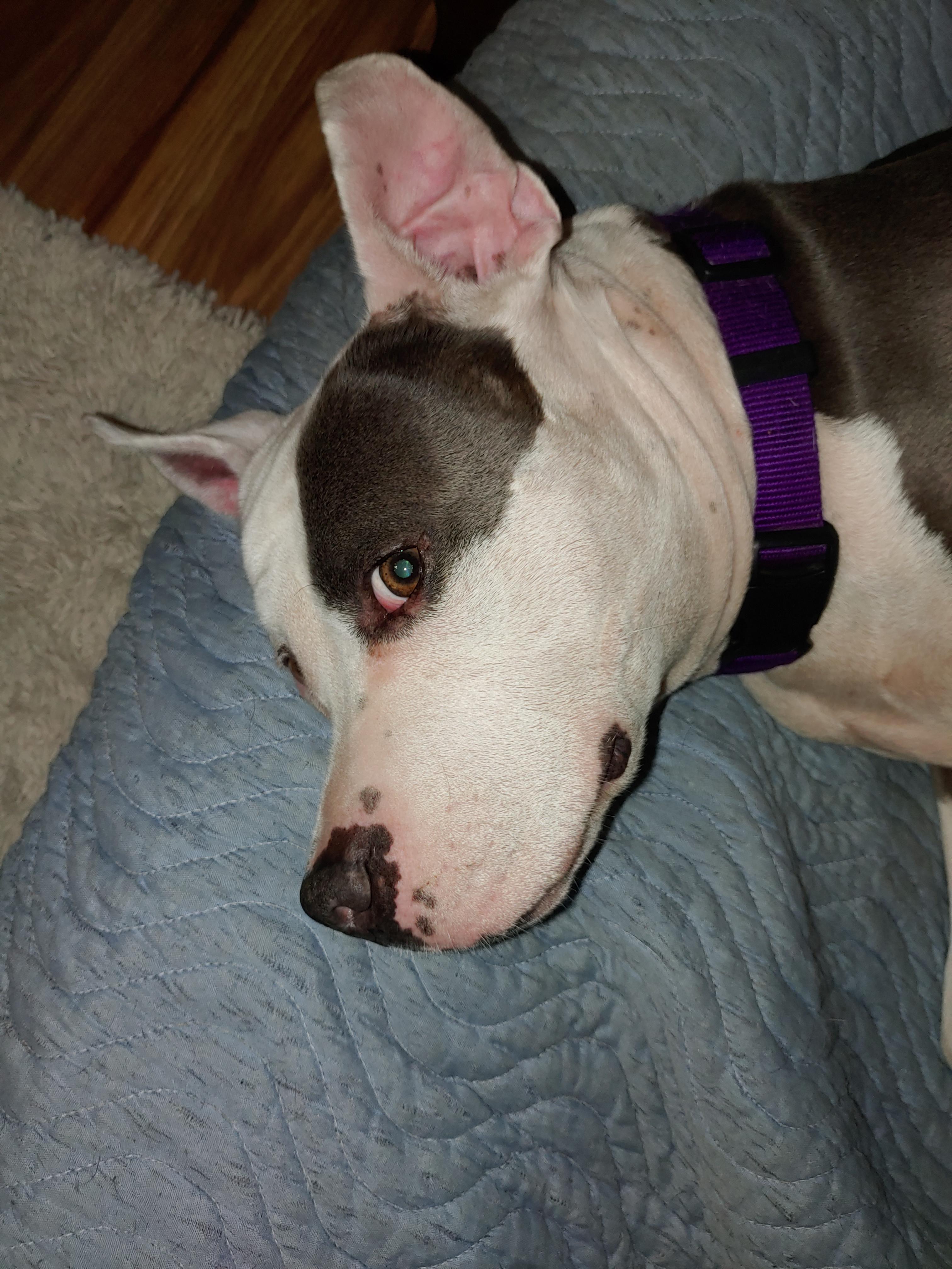 Leave me alone human!! | Scrolller