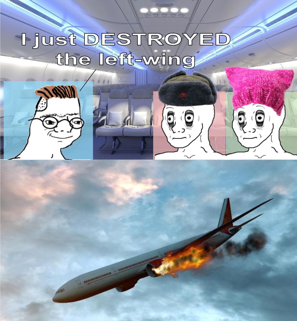 Left wing: DESTROYED. | Scrolller