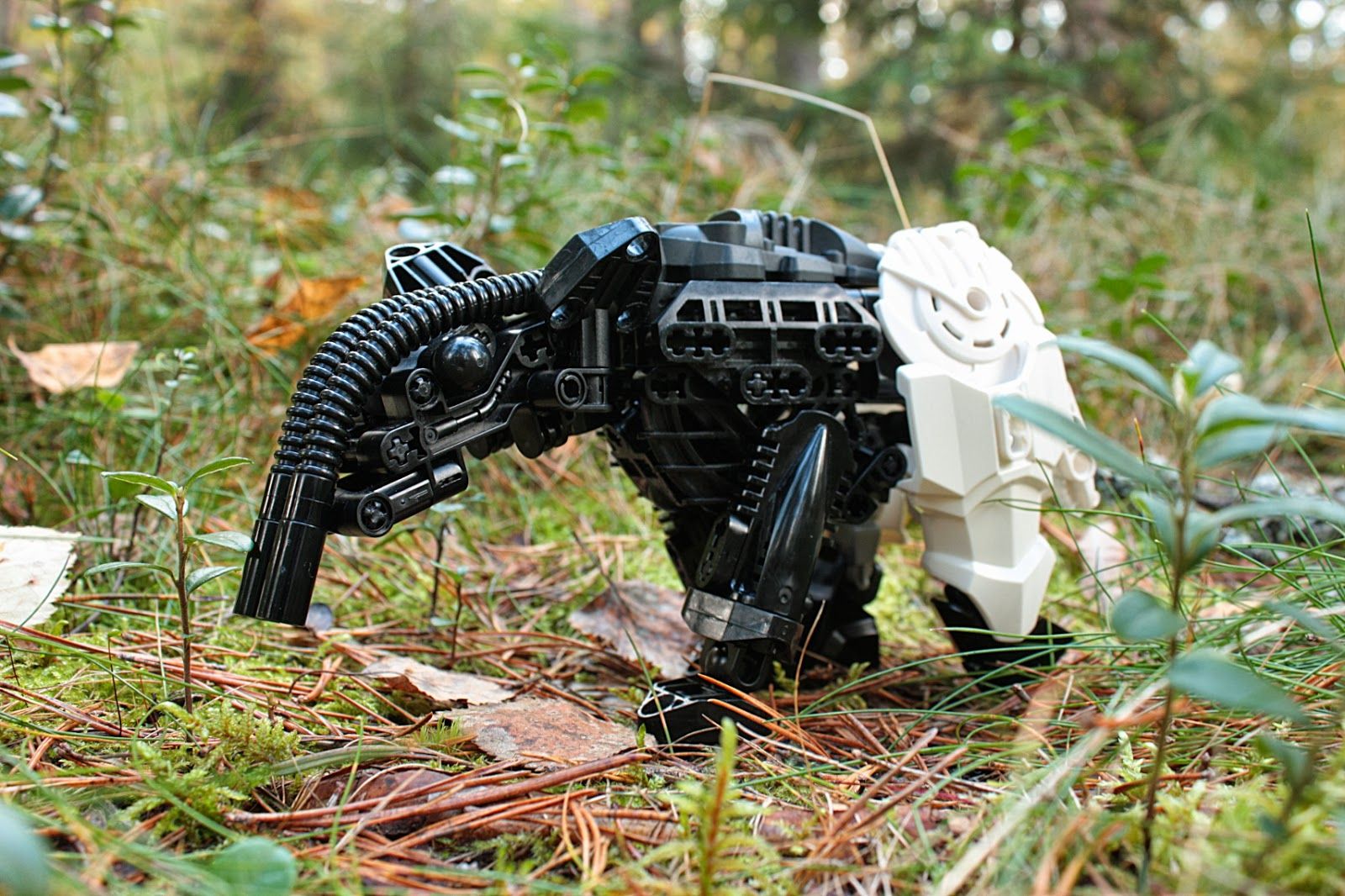 Lego Tapir | Scrolller