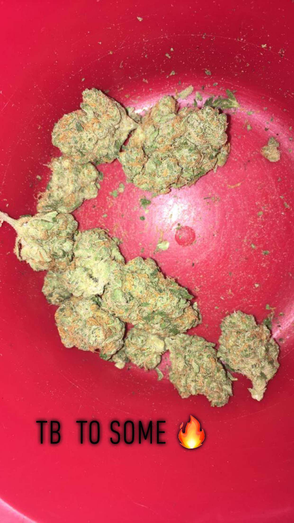 Lemon skunk🍋 | Scrolller