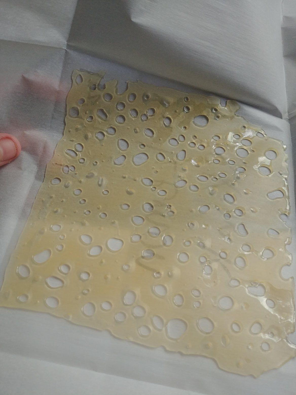 Lemon skunk | Scrolller