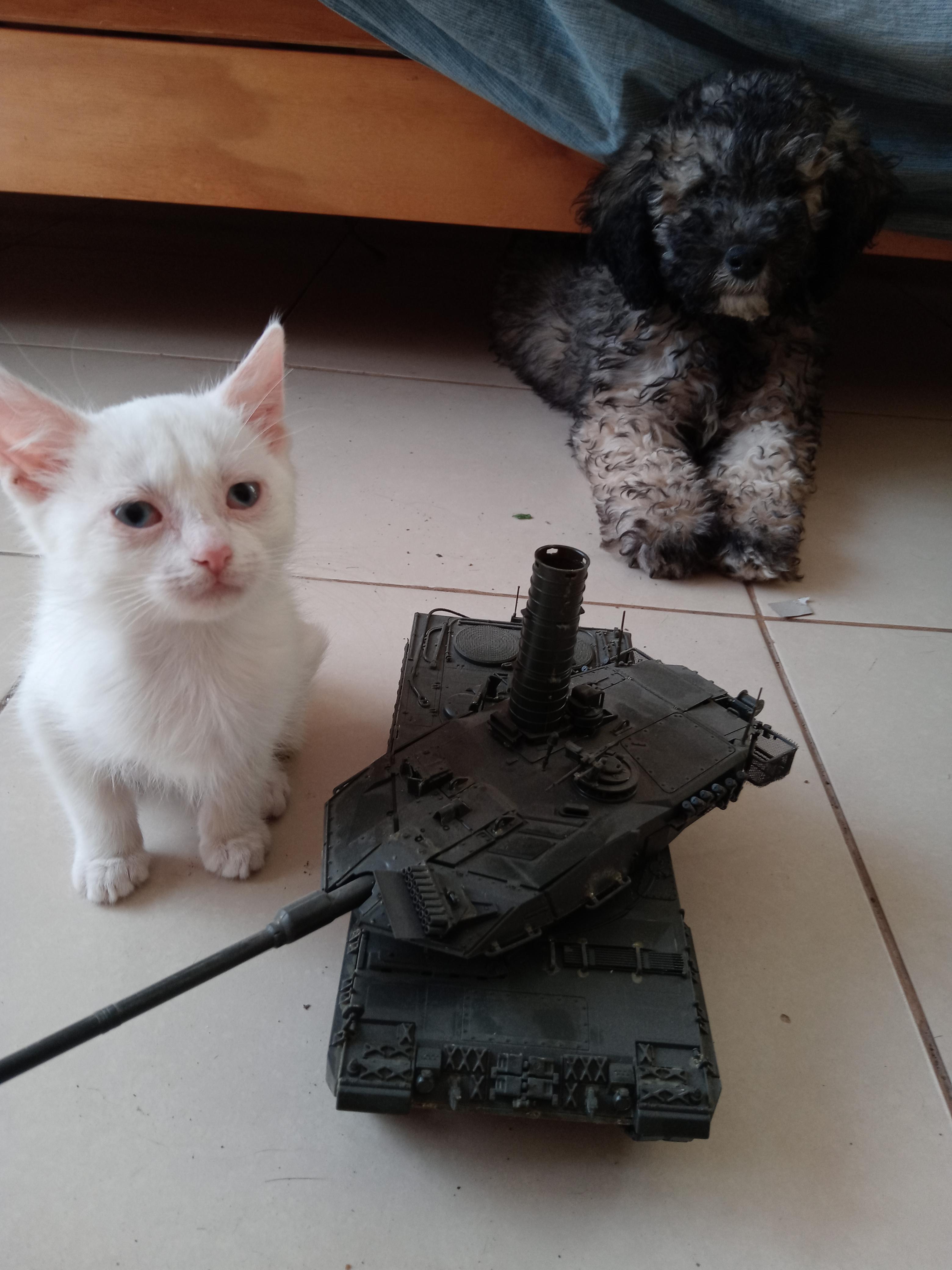 Leopard A2 | Scrolller