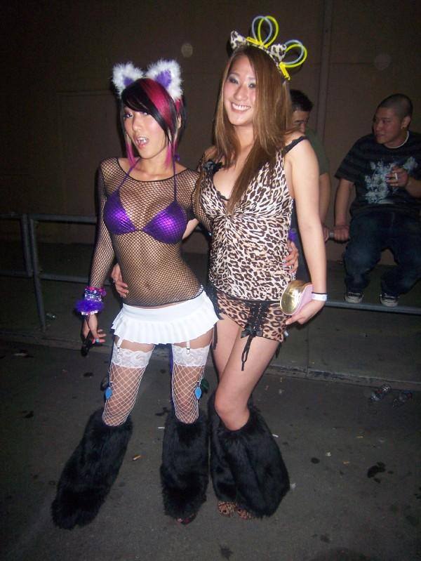 Leopard and Purple Top | Scrolller