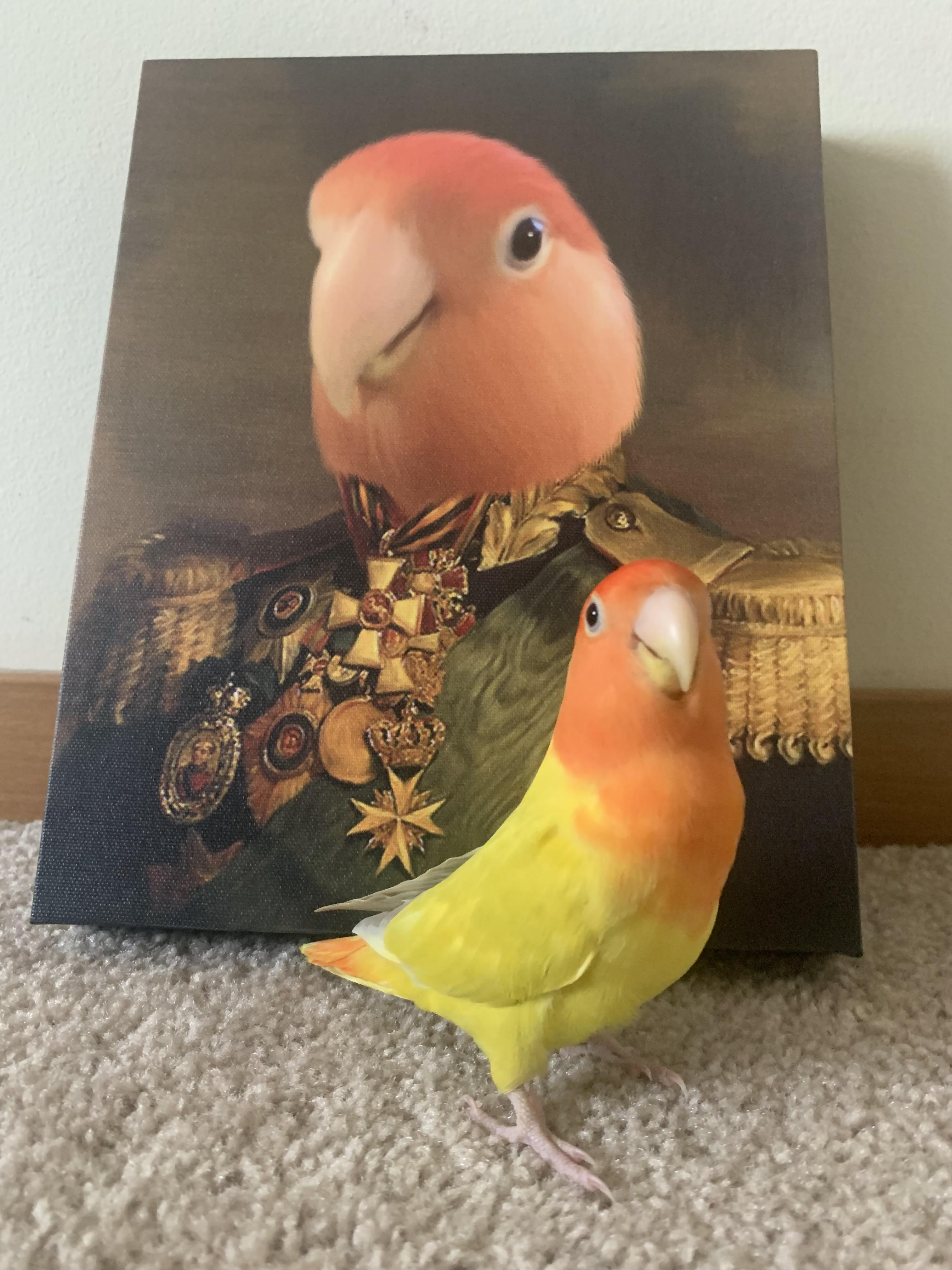 Let him be proud. Salute! Sir General Birb | Scrolller