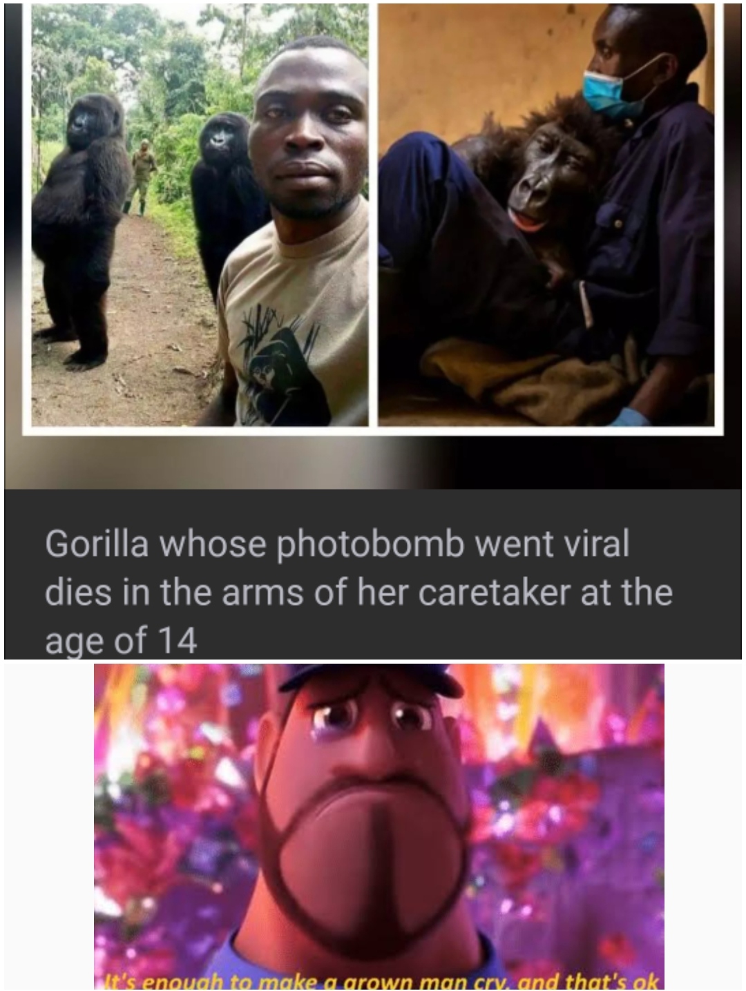 Let's cry together | Scrolller