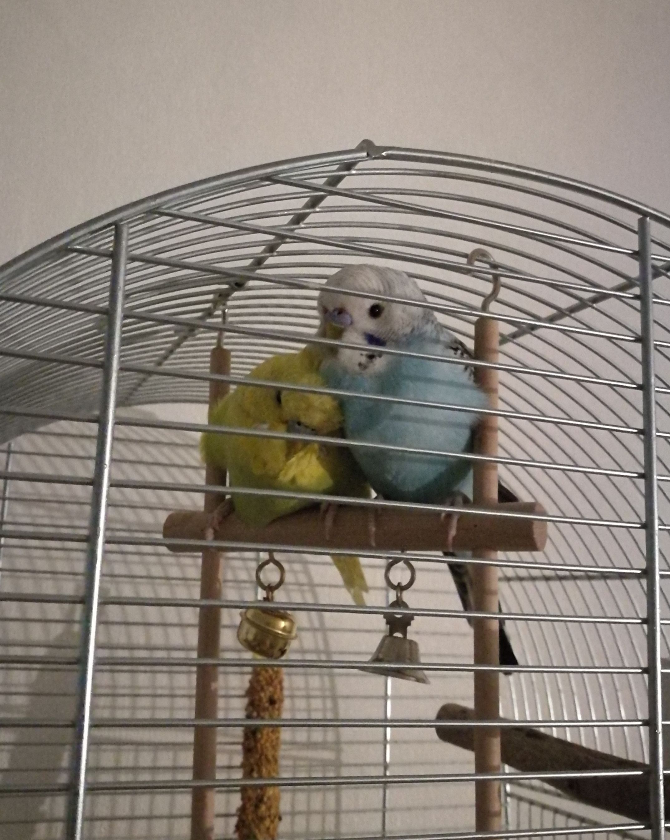 Let's cuddle | Scrolller