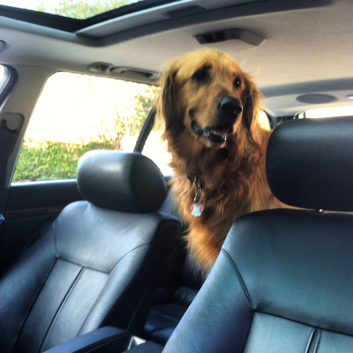 Let's go dad! | Scrolller