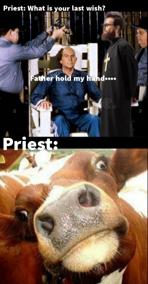 Let's go to hell together | Scrolller