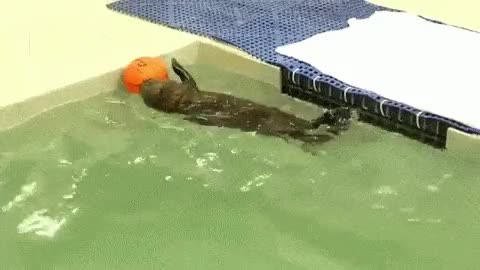 Let's play ball! | Scrolller