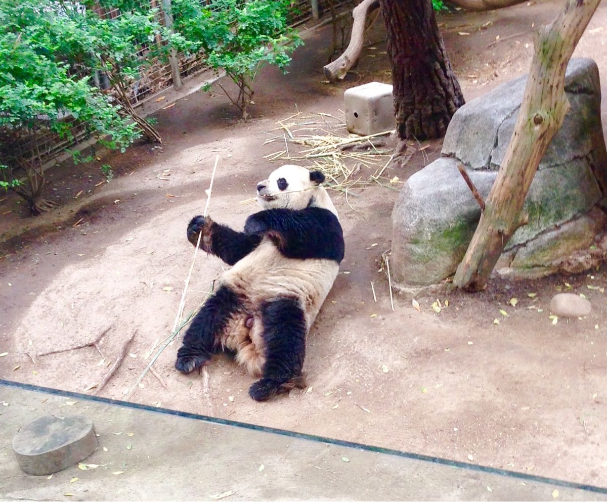 Lettin' it all hang out | Scrolller