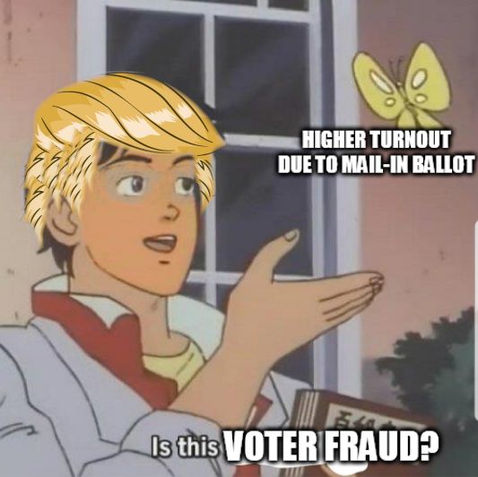 Levels of voting like you've never seen | Scrolller