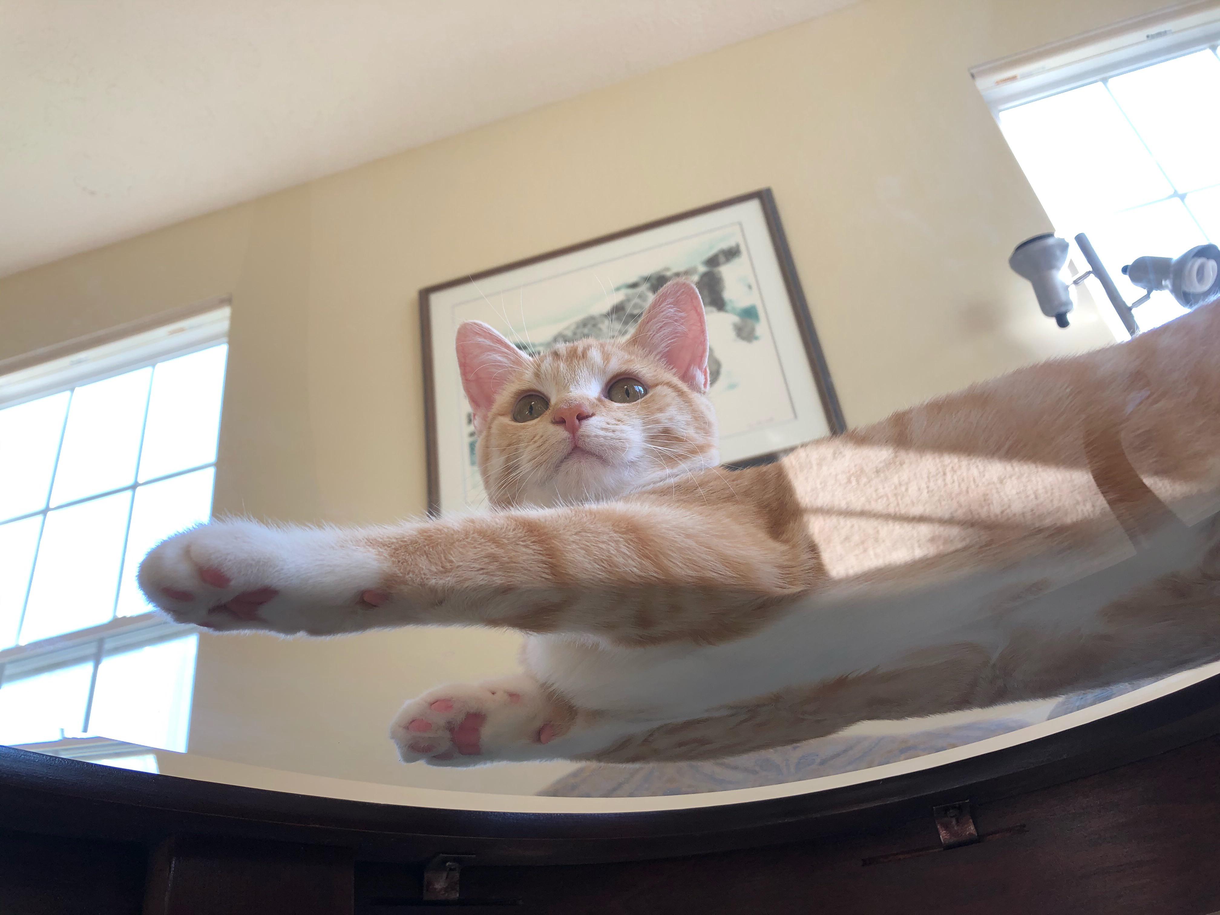 Levitating | Scrolller