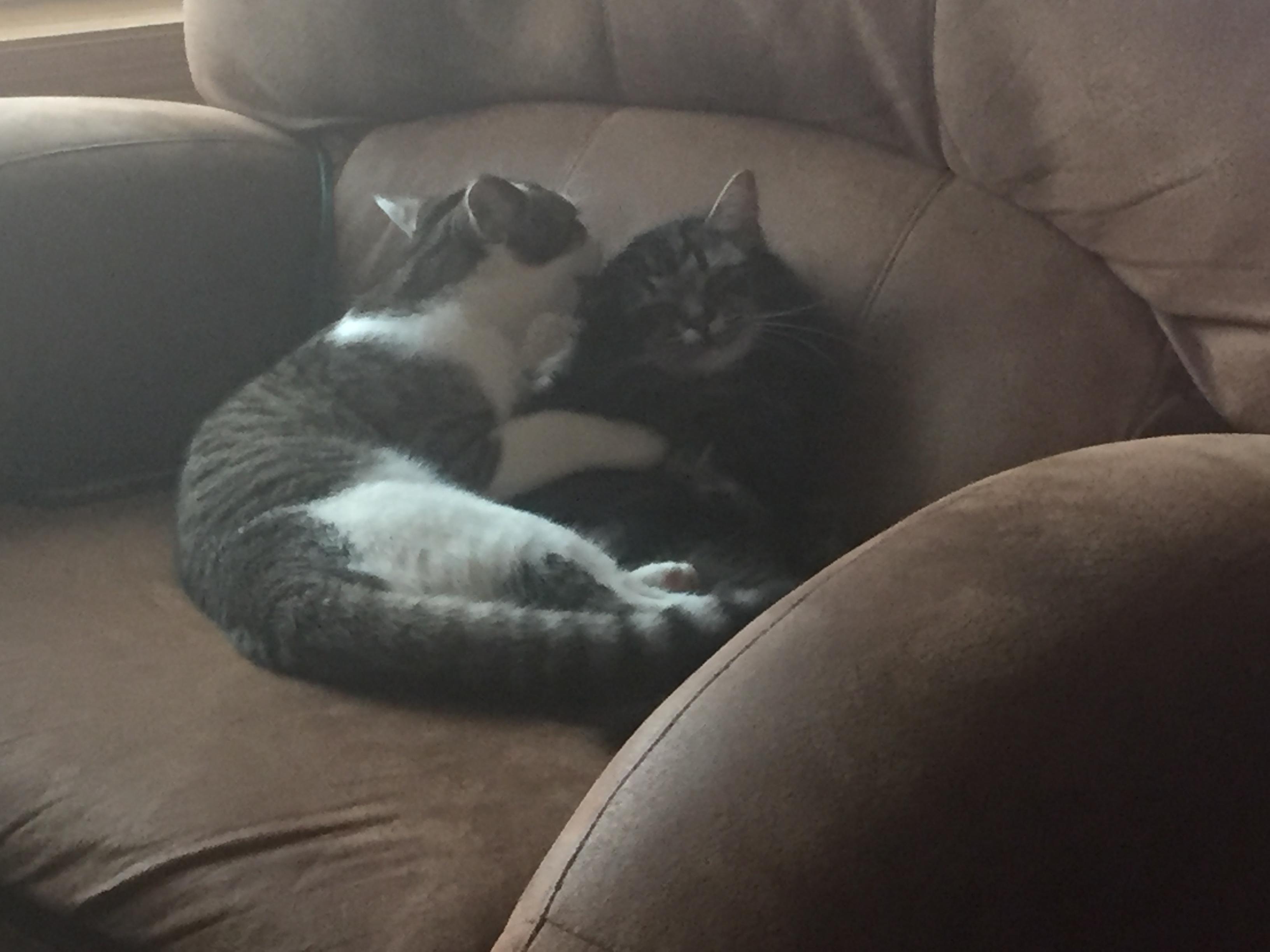 Lick lick | Scrolller