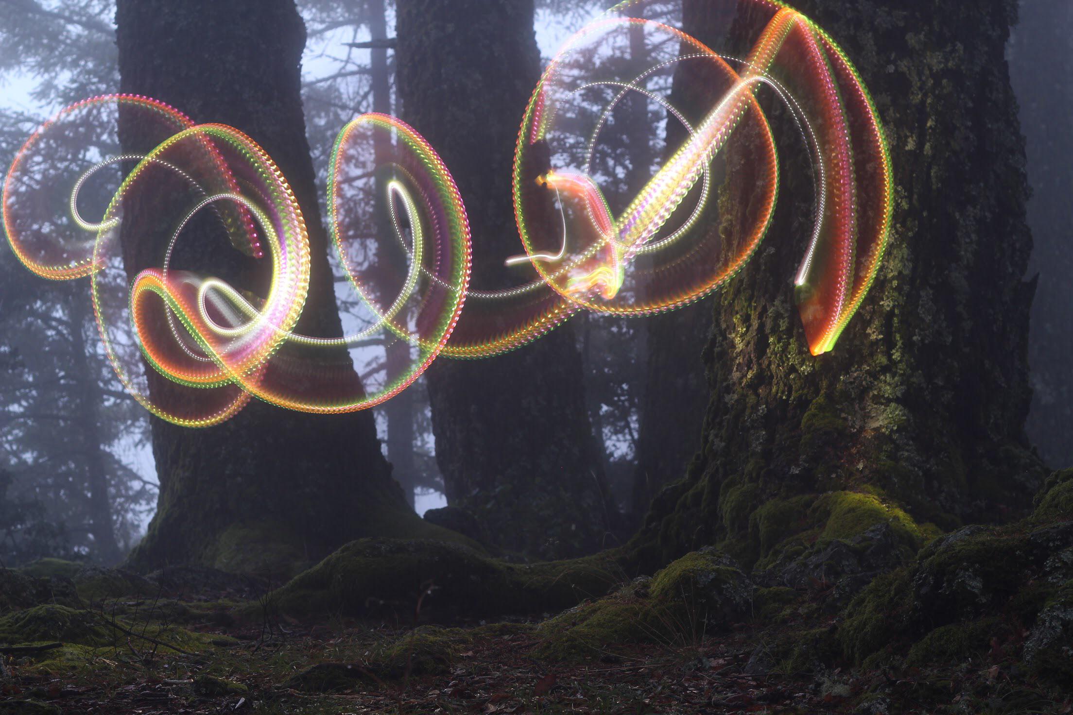 Light fairies are said to live in the enchanted forest | Scrolller