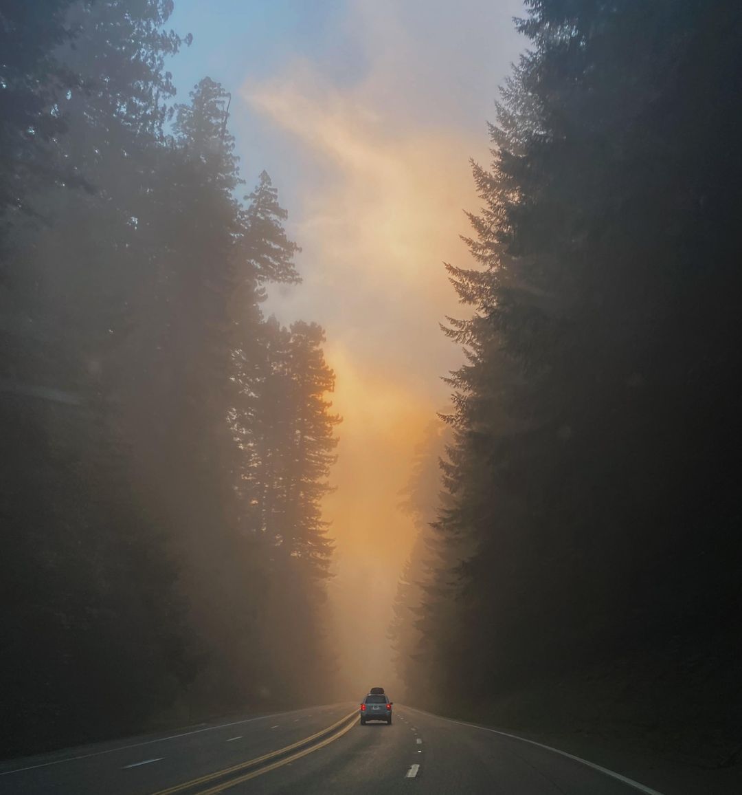 Light fog conditions during sunrise on the 101 | Scrolller