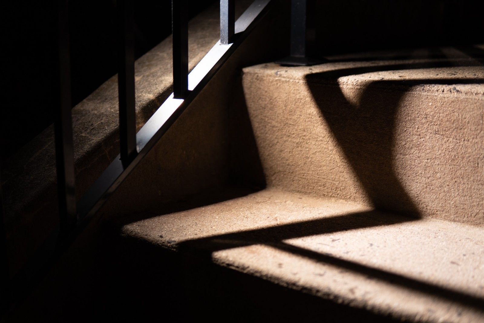 Light + Shadow | Scrolller