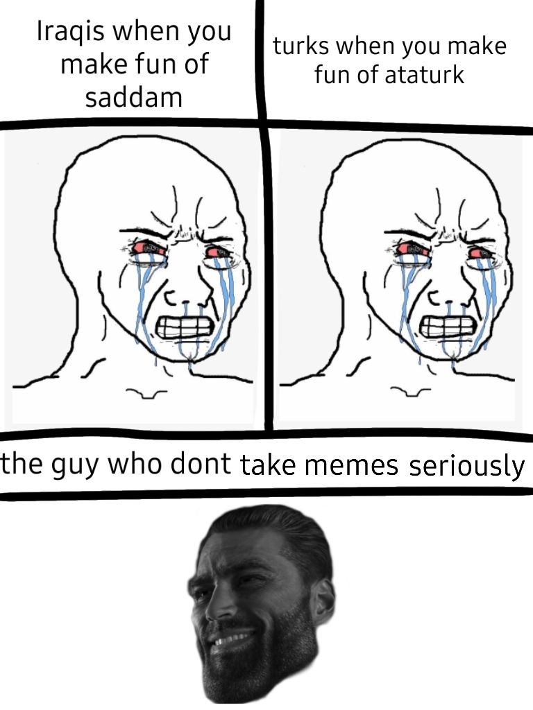 Like it literally says "ironic memes" | Scrolller