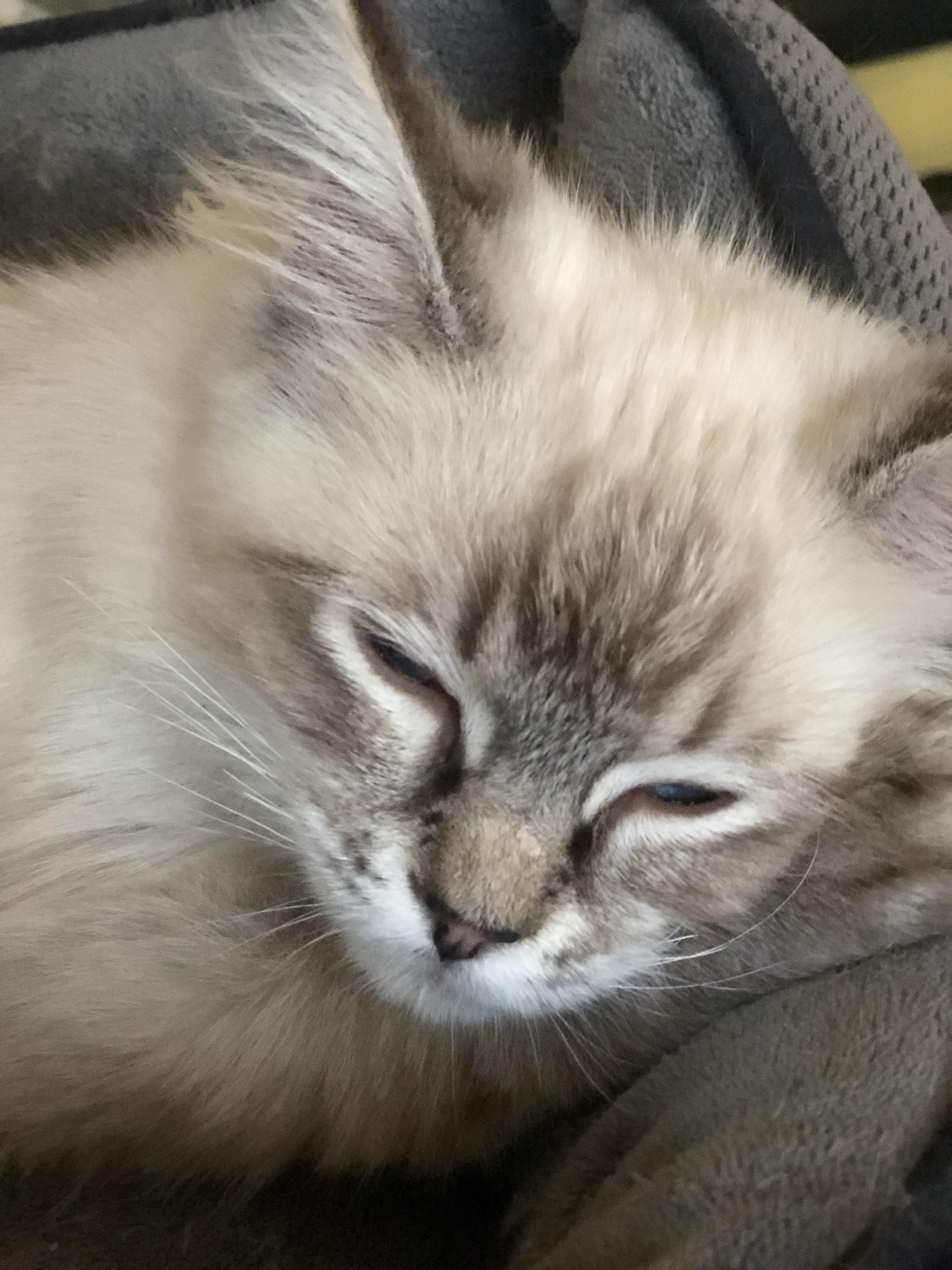 Little baby is sleeping | Scrolller