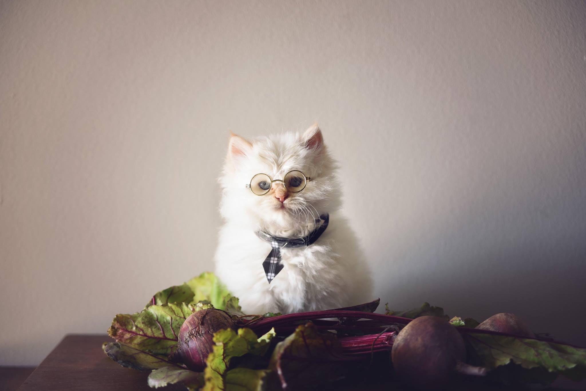 Little handsome Dwight 👓 | Scrolller