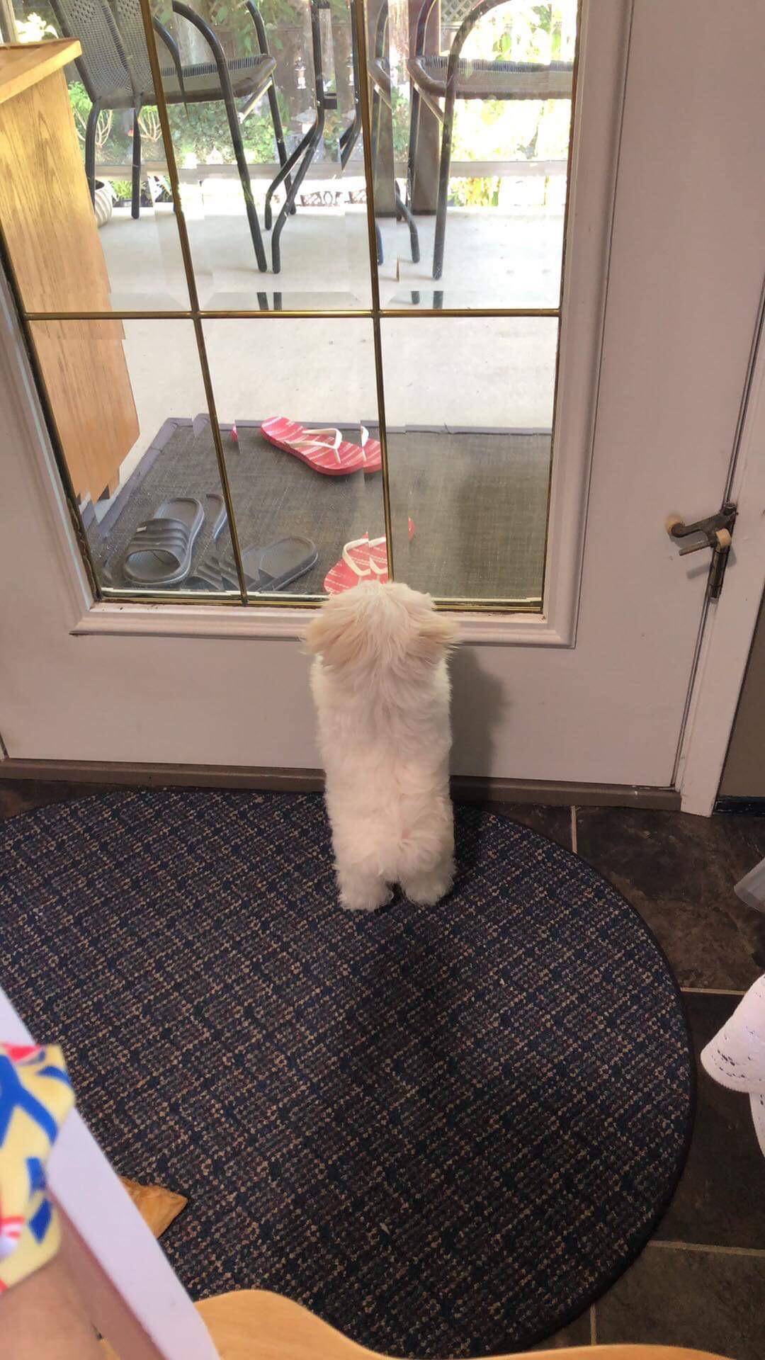 Little loaf of bread | Scrolller