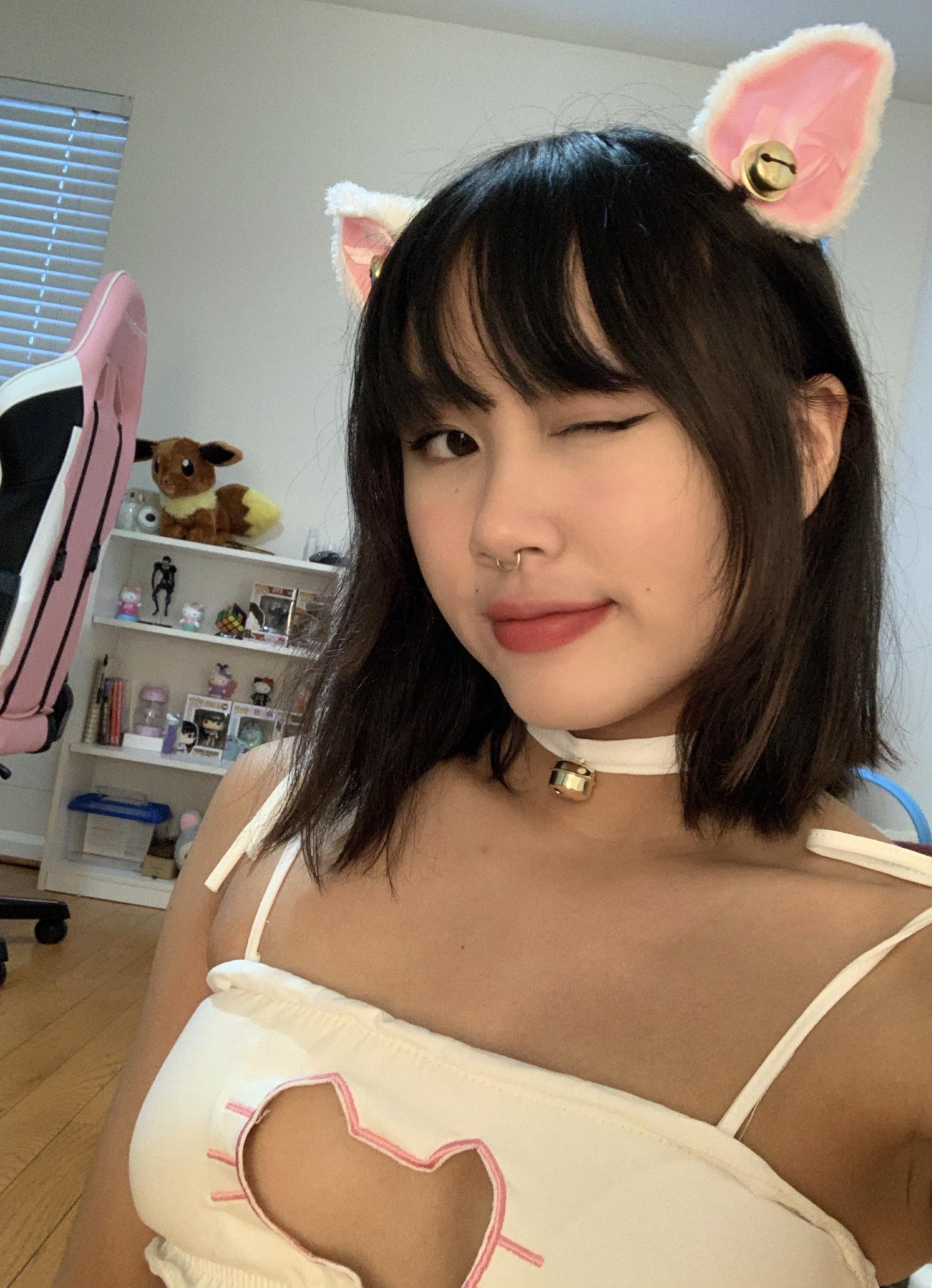 Little neko ‎^・ﻌ・^ 💖 | Scrolller