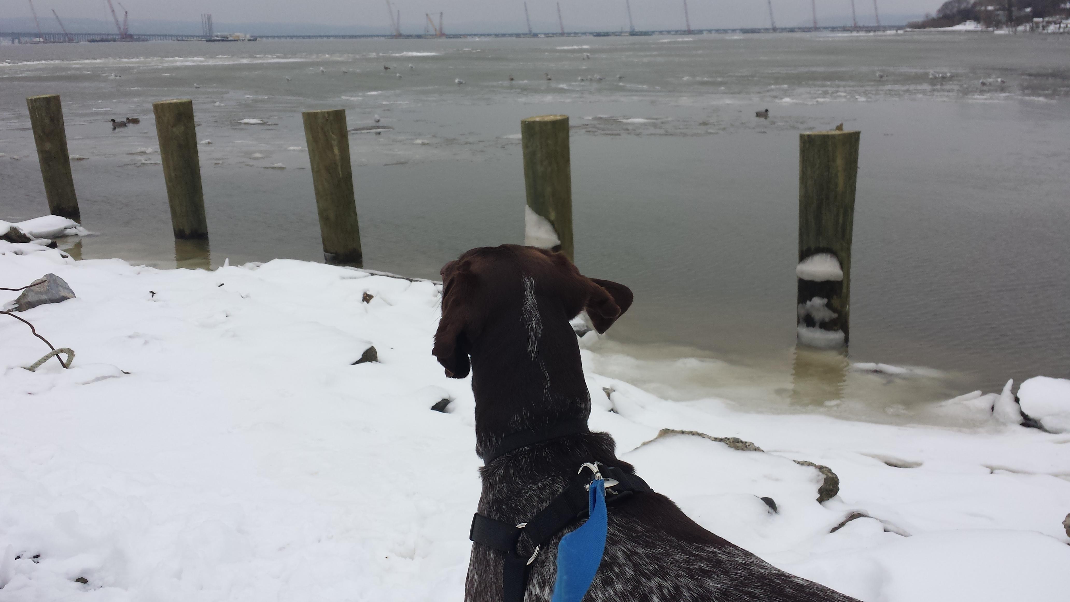 Little Old But Pepper Overlooking the Hudson River In The Winter | Scrolller