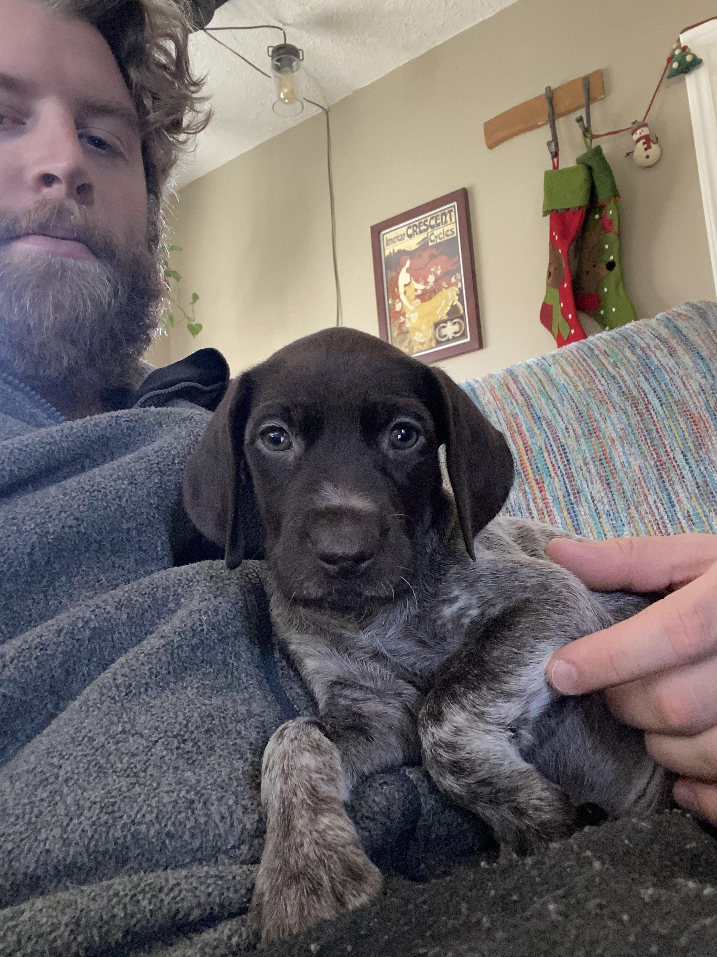 Little pup pup | Scrolller