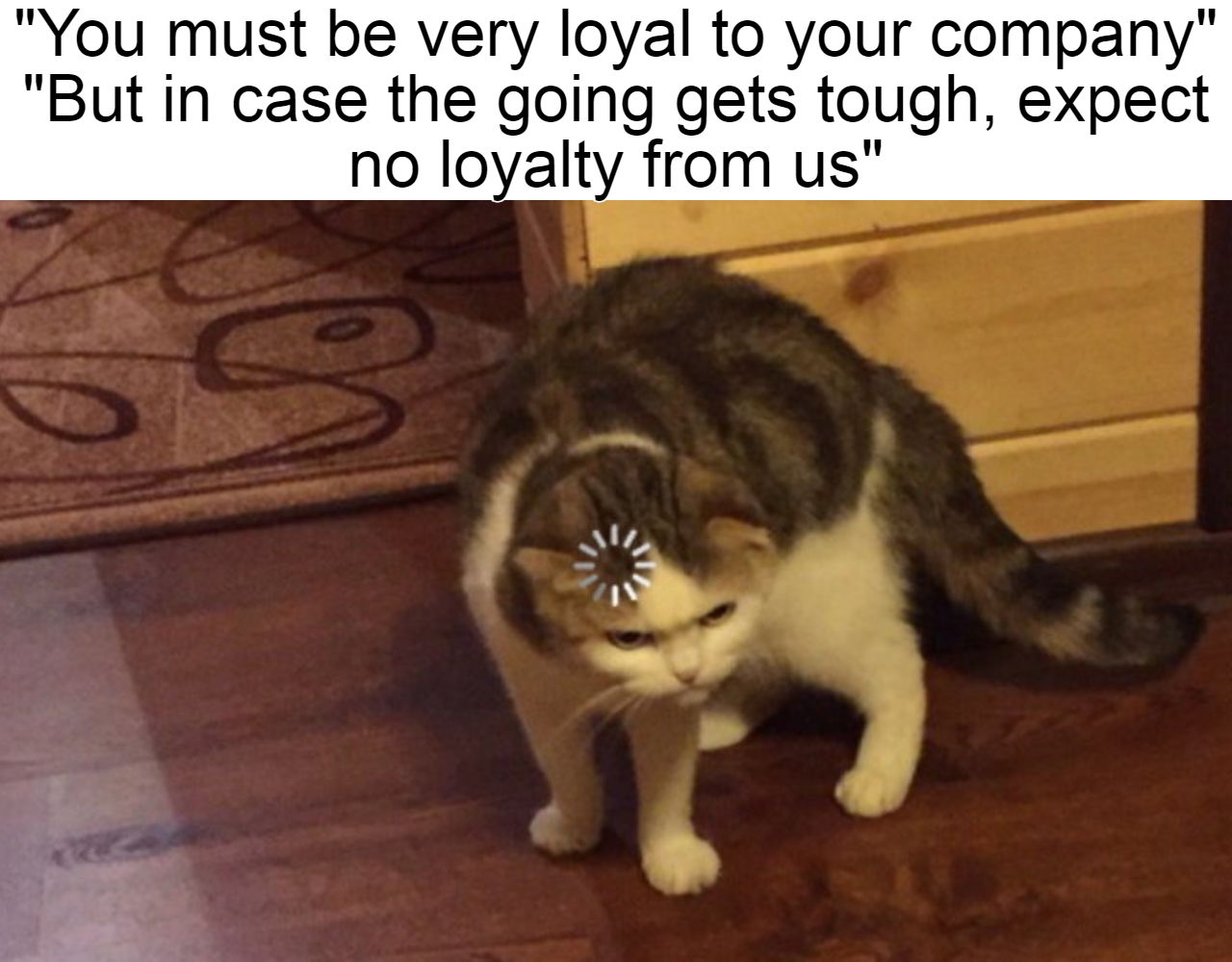 Loading cat memes: The return! | Scrolller