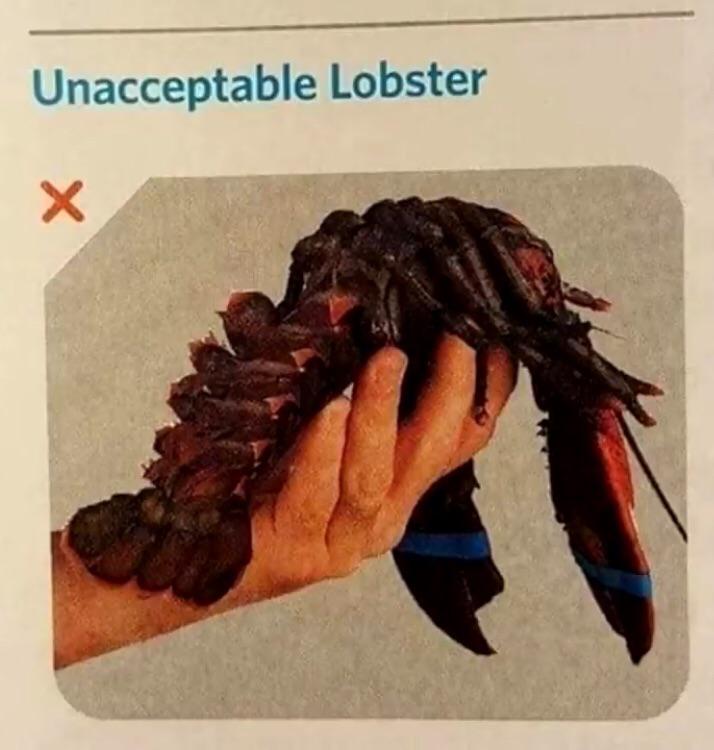 Lobster rule | Scrolller