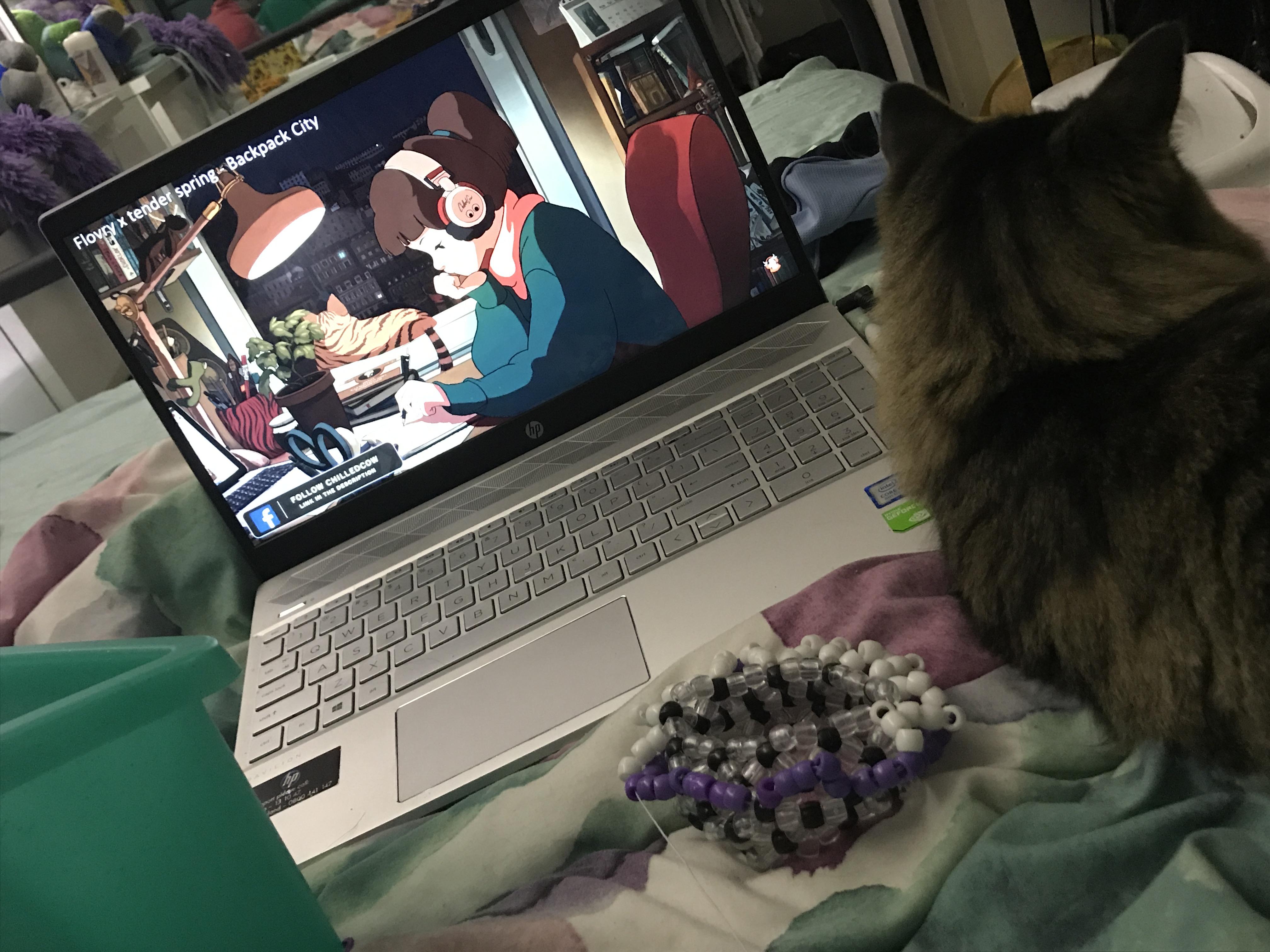 lofi hip-hop + cat + kandi = chill vibes | Scrolller