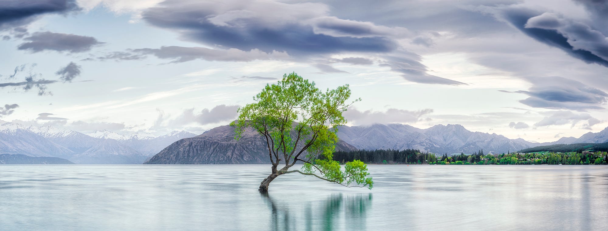 Lone Tree of Lake Wanaka | Scrolller