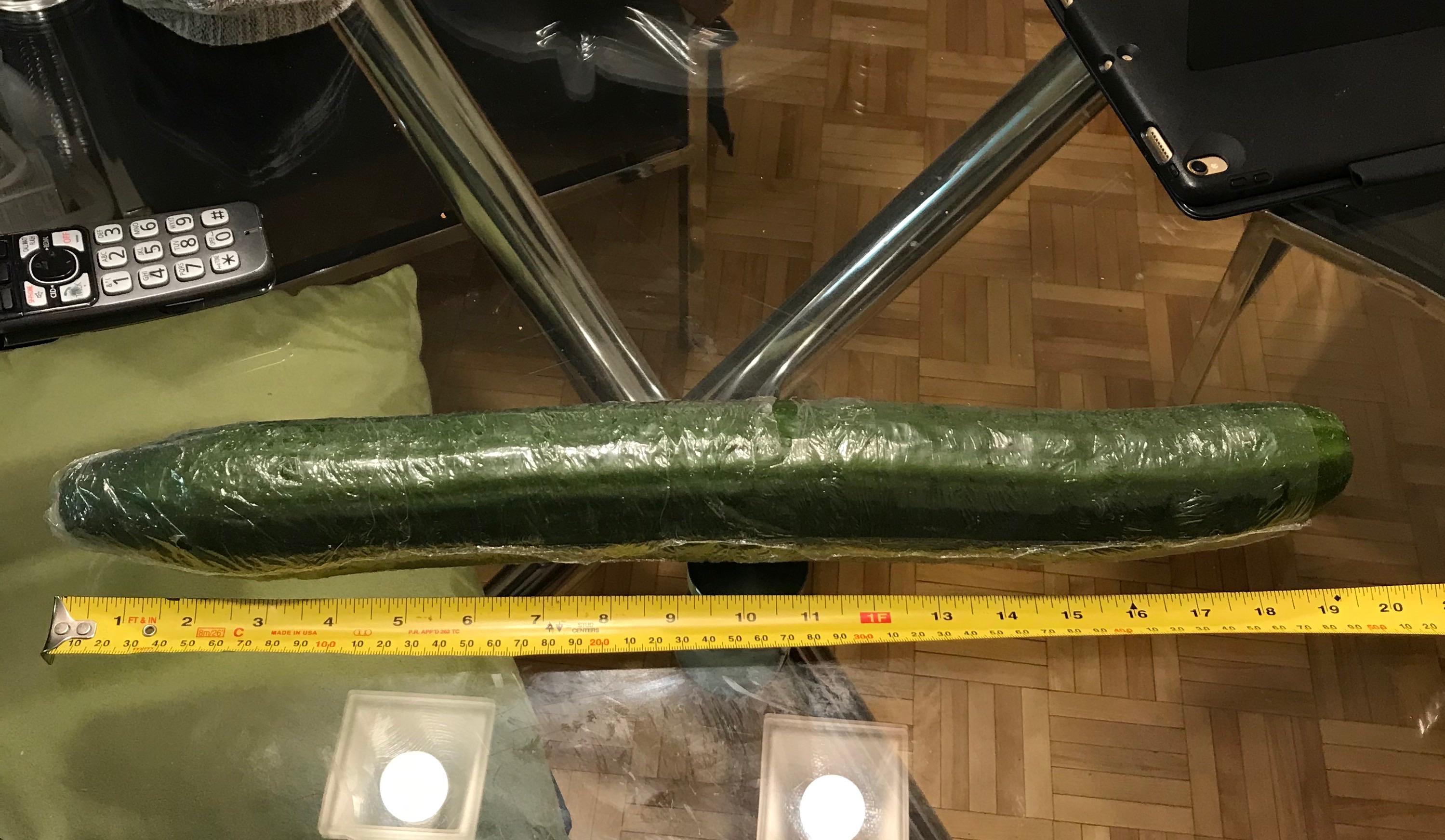 Long boi (19 1/2 inches) | Scrolller