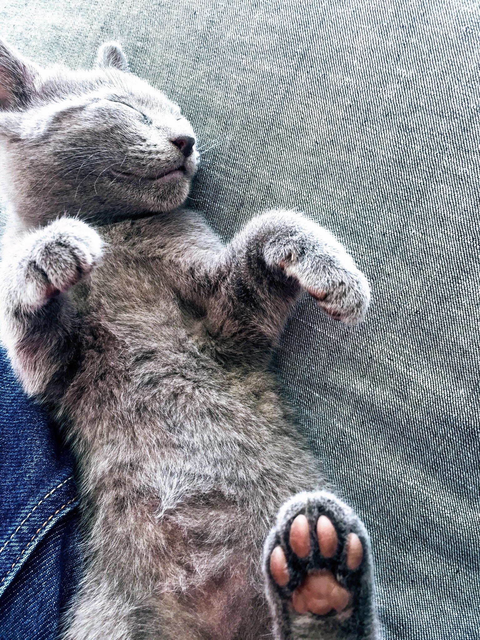Look at Aleksander's little toe beans! | Scrolller