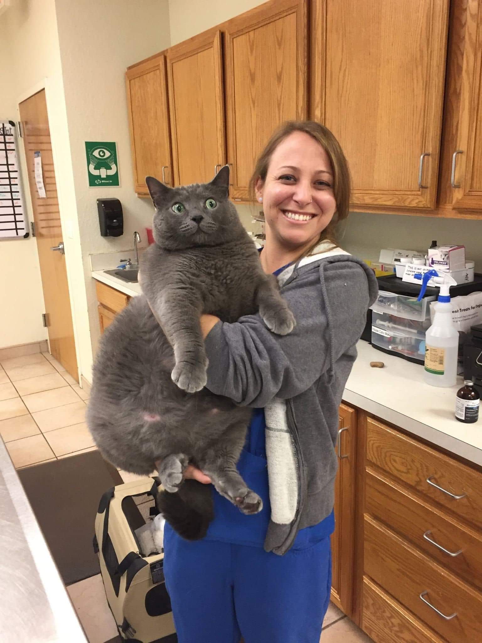 Massive Unit Scrolller