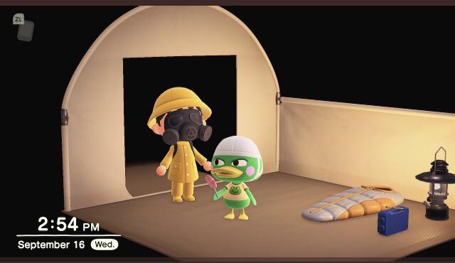 Look who showed up to my campsite! | Scrolller