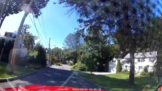 Looking Both Ways is Optional | Scrolller