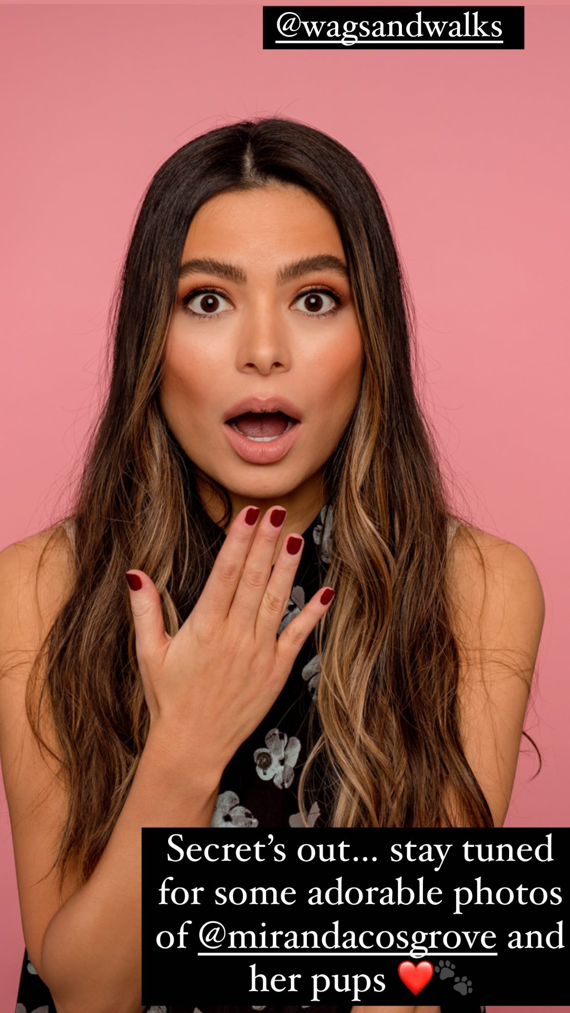 looking cute | Scrolller