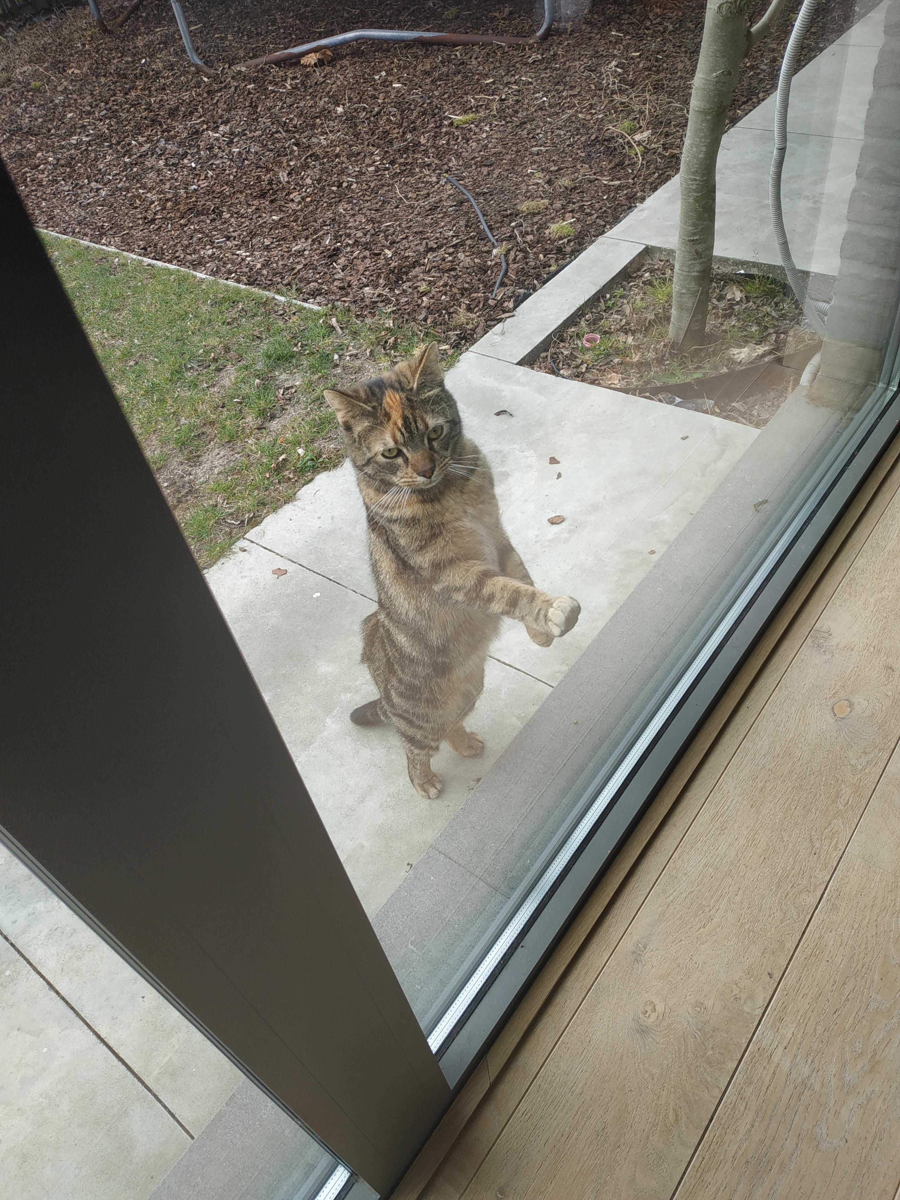 Looking How To Get Back Inside Scrolller