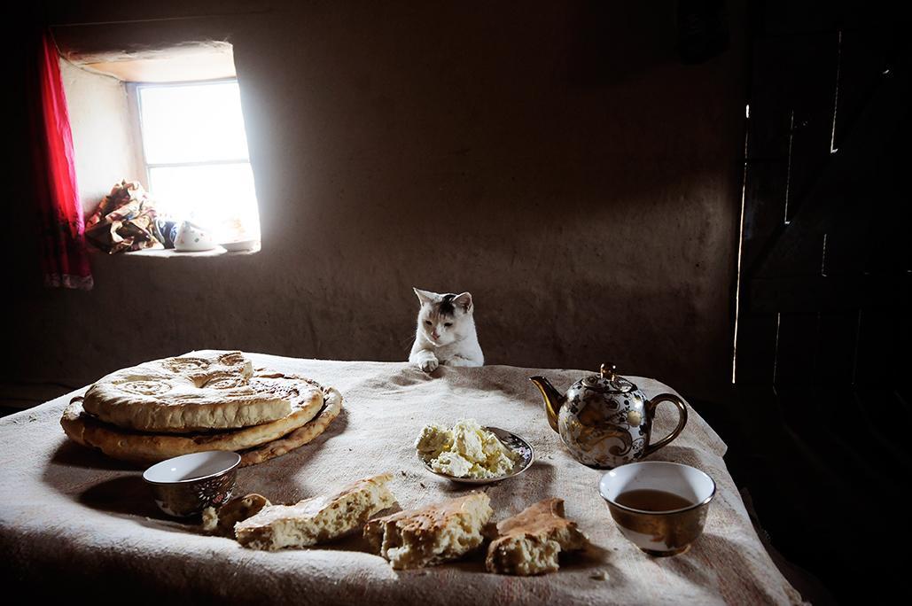 Looking longingly at the loaves (photo by Leonid Plotkin) | Scrolller