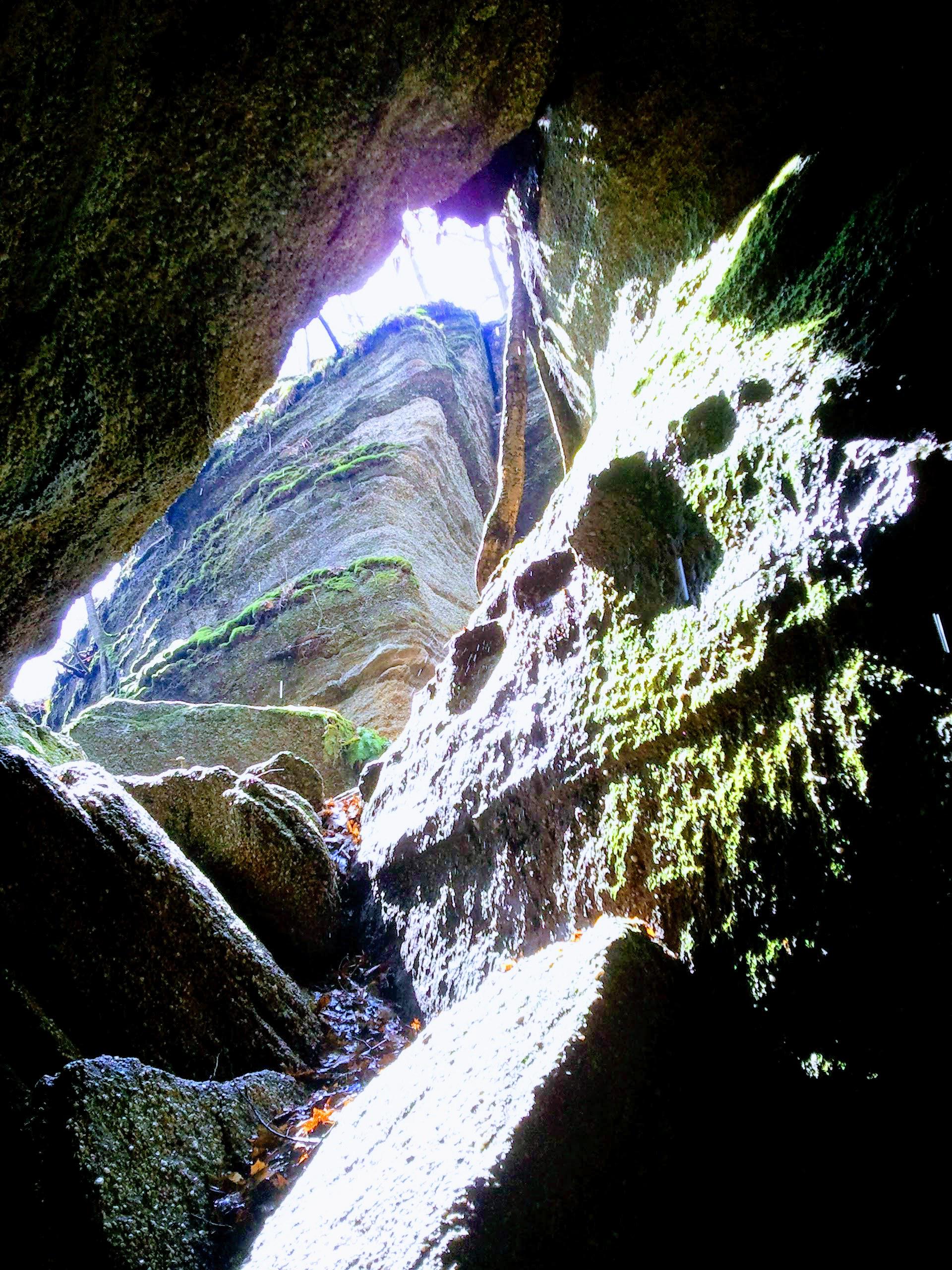 Looking out of a cave | Scrolller