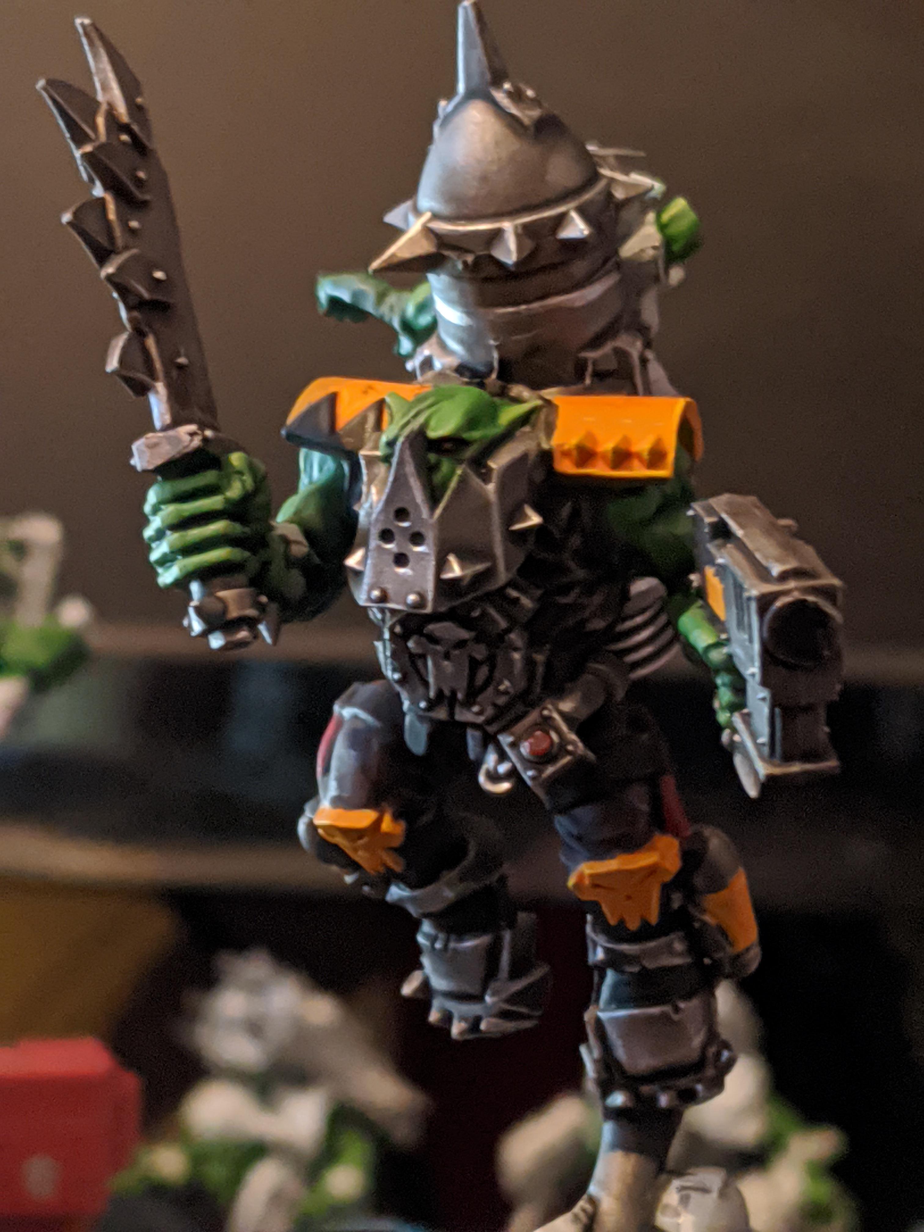 Looking tidy if I do say so myself | Scrolller