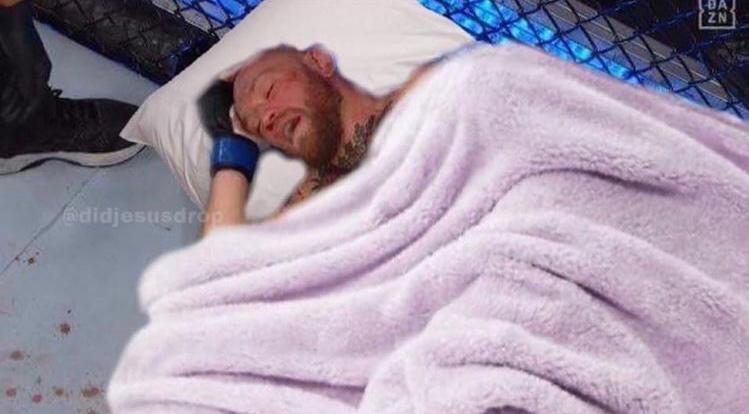 Looks comfy | Scrolller