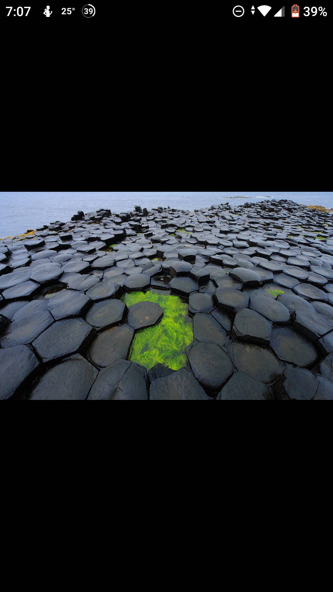 Looks like dragon scales | Scrolller