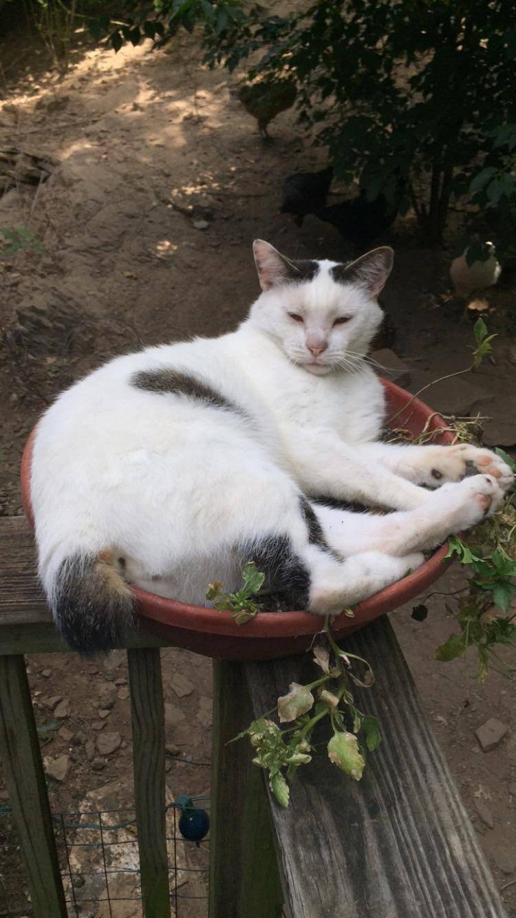 looks like it’s going to be a bountiful harvest | Scrolller