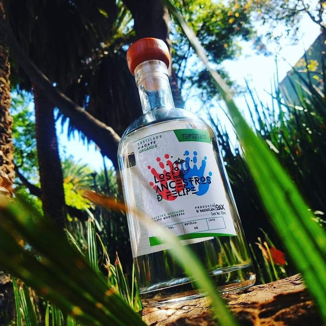 Los Ancestros De Felipe #mezcal #oaxaca | Scrolller