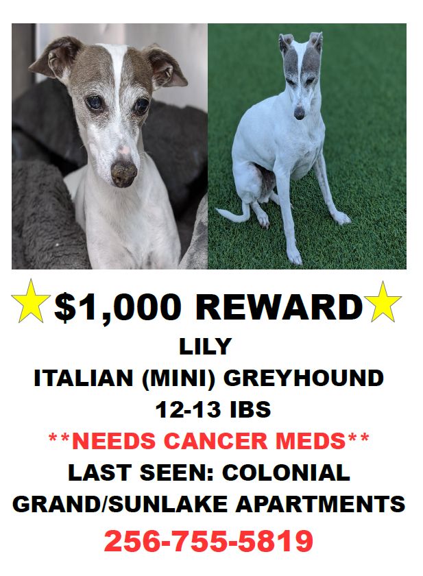 Log Dog! Please share! | Scrolller