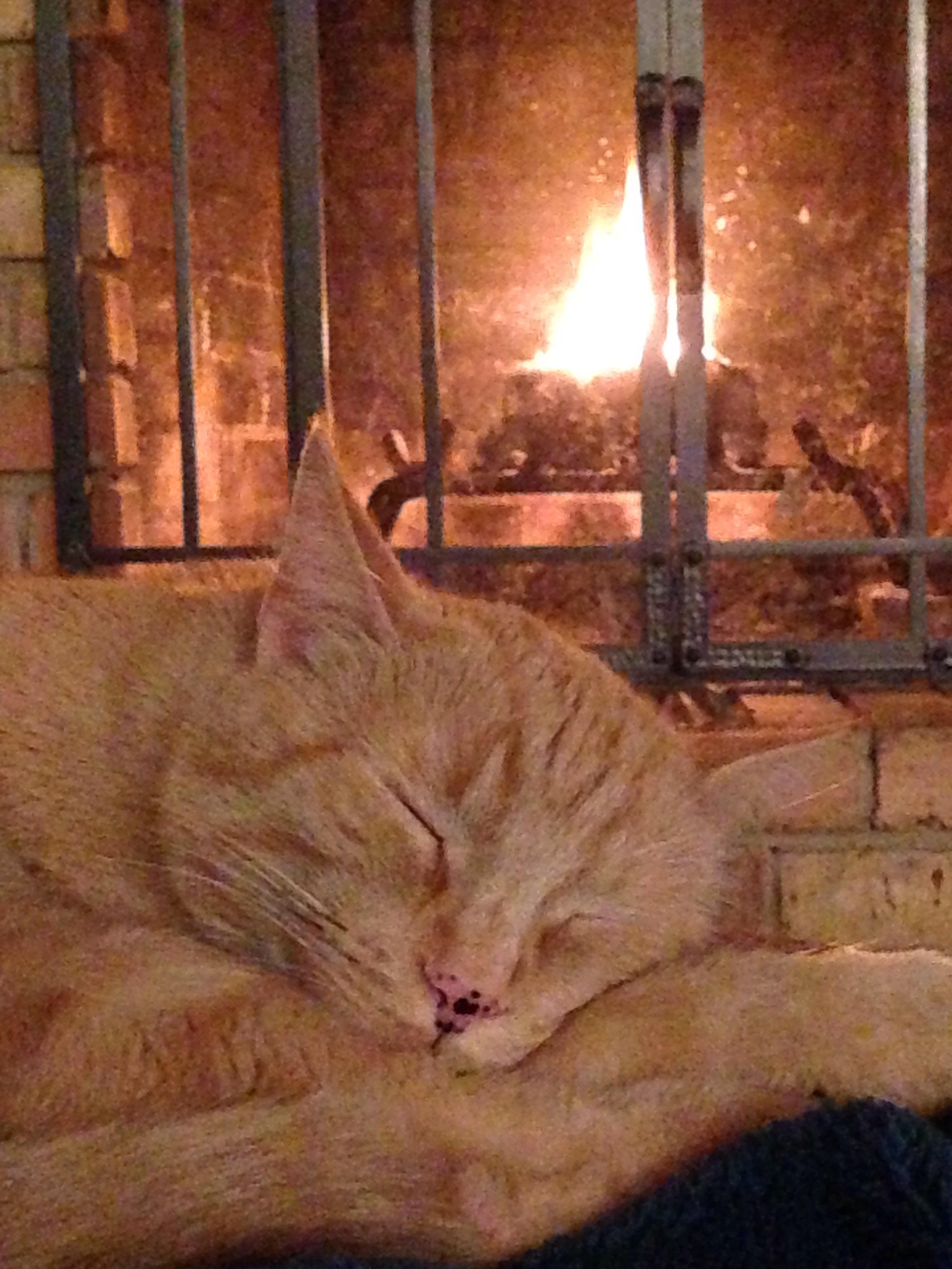 Louie loves December. | Scrolller